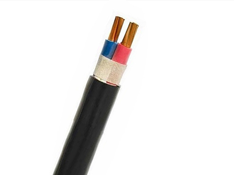 XLPE Insulated 185mm2 2 cores Copper Cable-Hongda cable